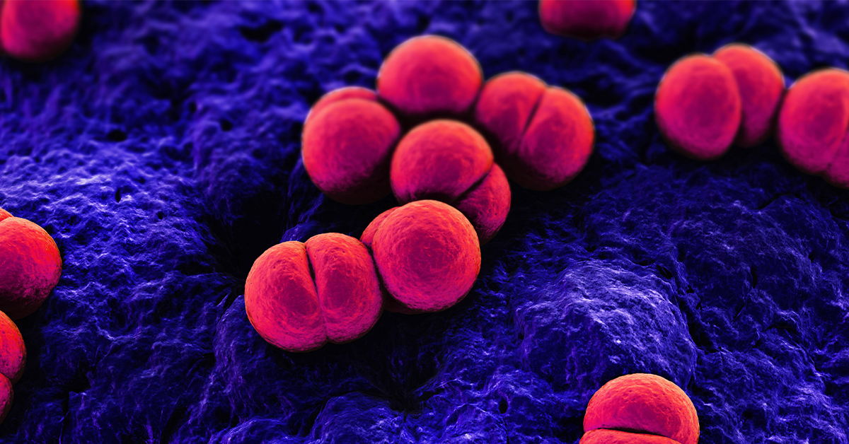 Meningokocker | Sanofi Sverige
